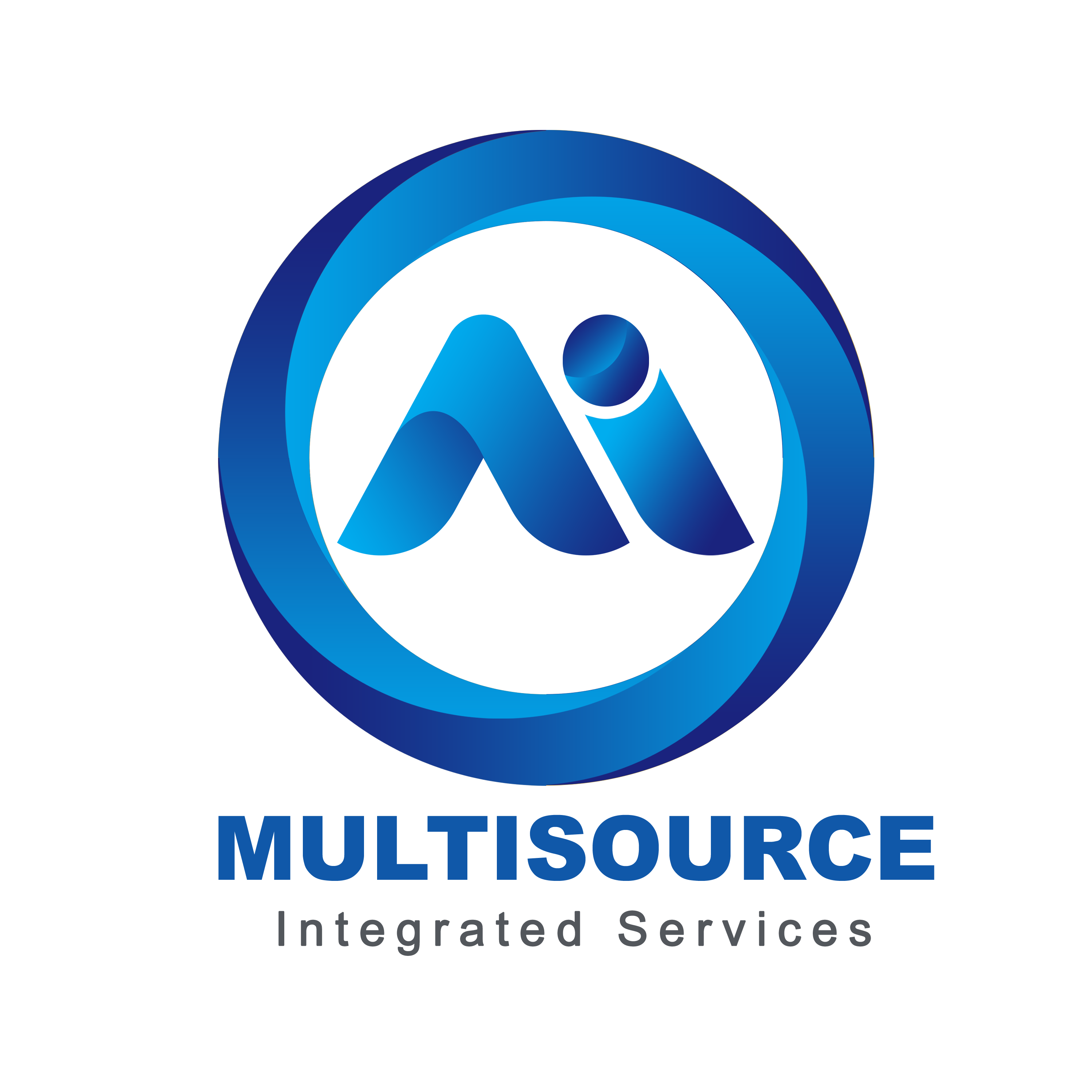 About – MultiSource Integrated Services